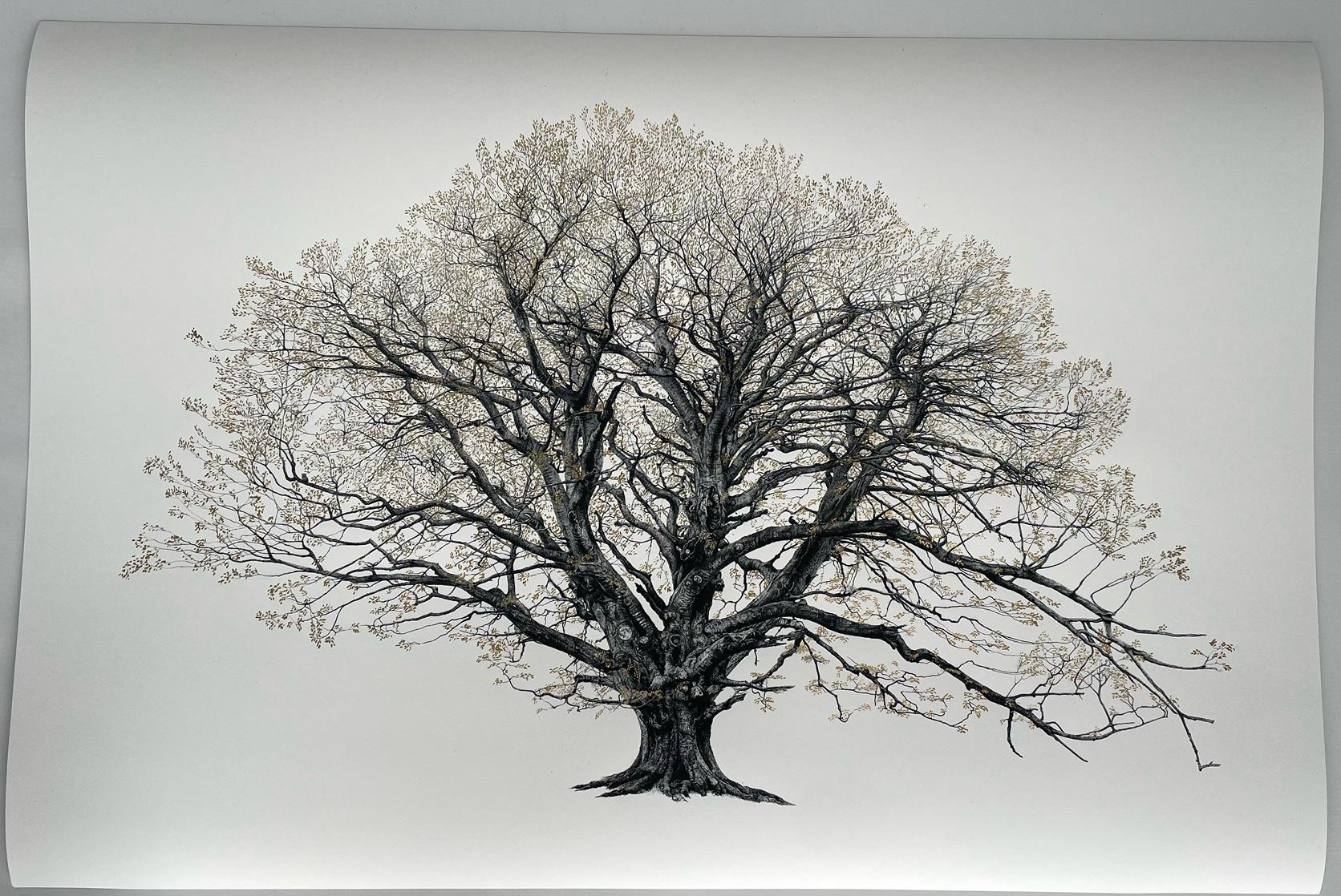 ART OF PROTEST GALLERY